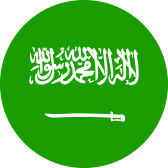 Buy DEPINSIM (ESIM) in Saudi Arabia | Coindisco